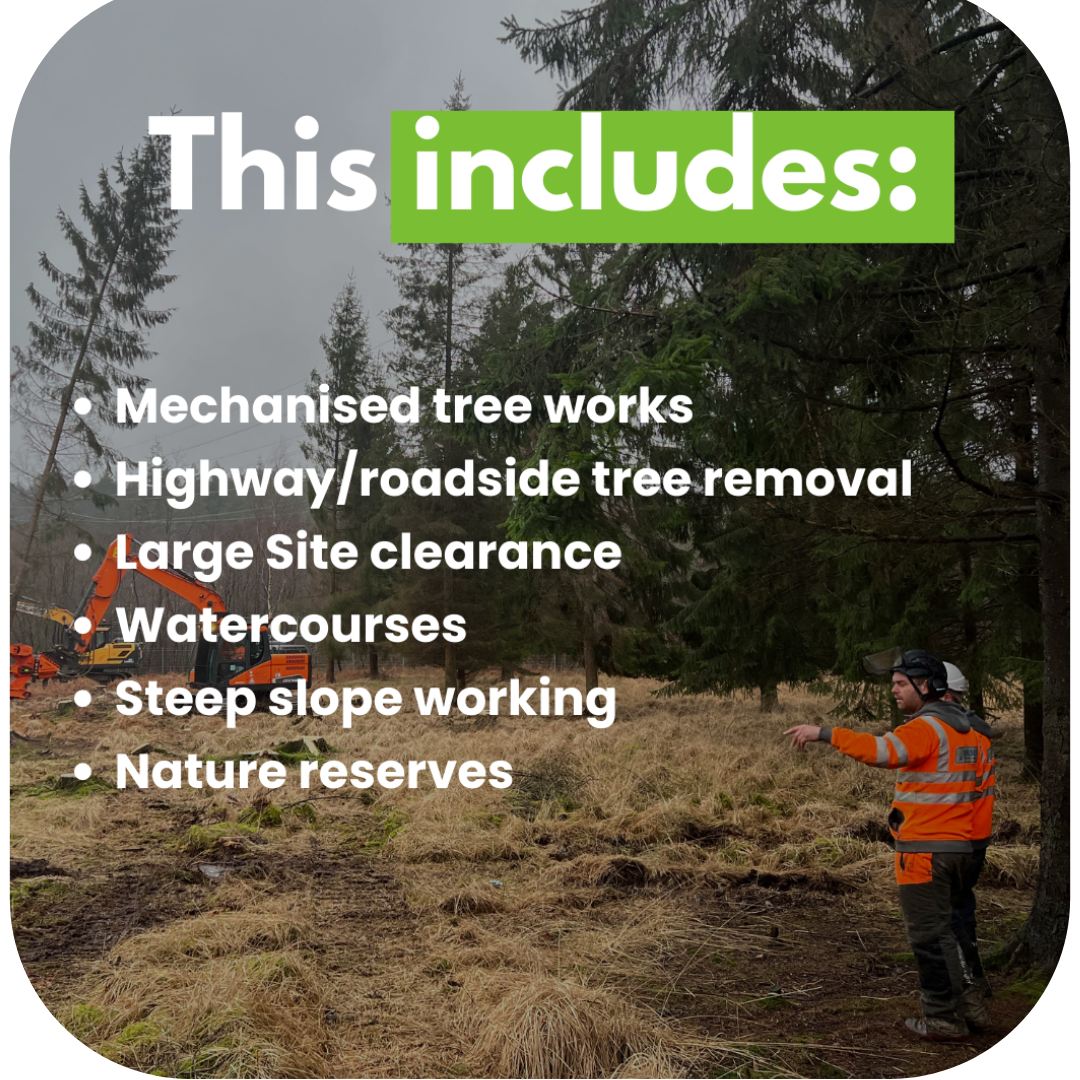 Commercial - Wilson Tree Surgery