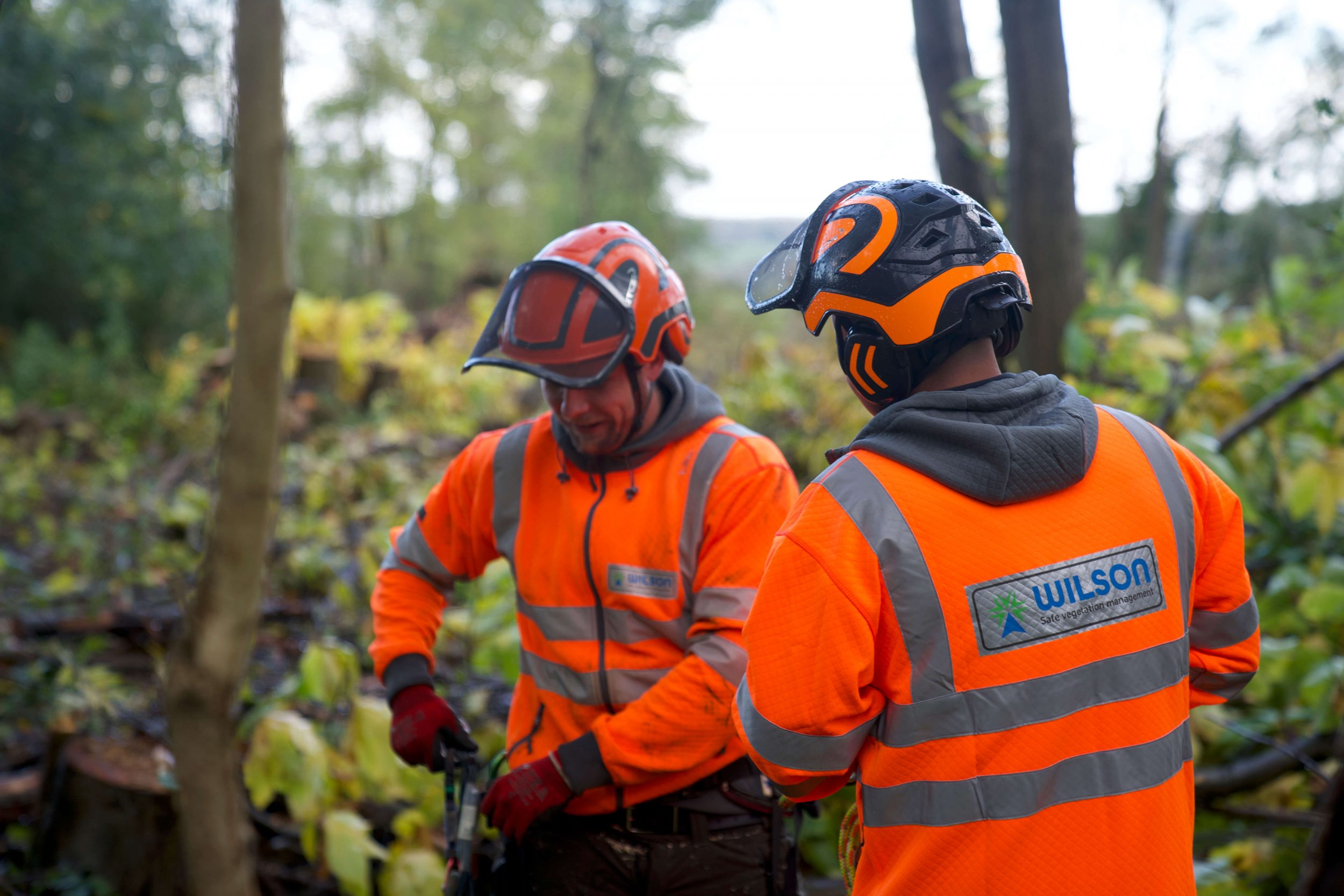 Training Courses - Wilson Tree Surgery