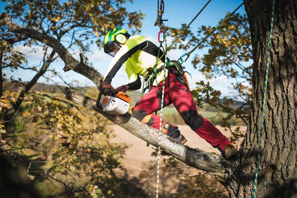 Experts in vegetation management - Wilson Tree Surgery