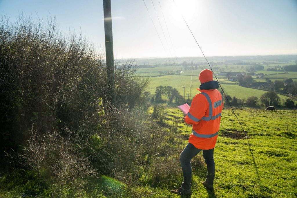 Experts in vegetation management - Wilson Tree Surgery