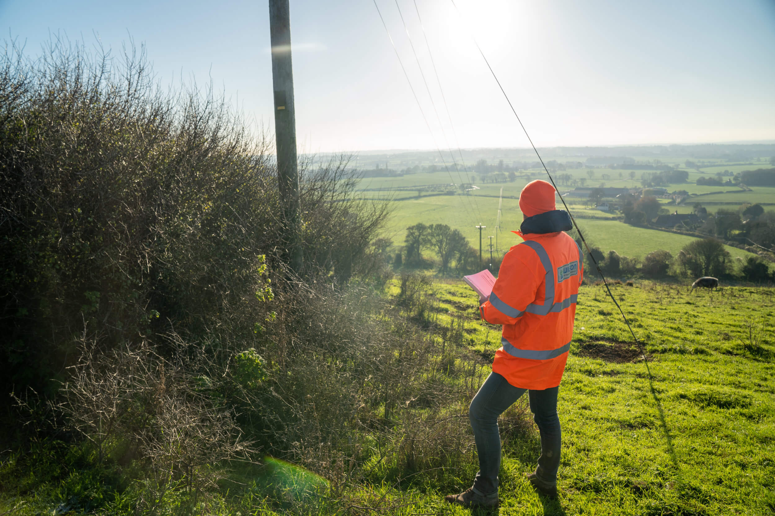 Experts in vegetation management - Wilson Tree Surgery
