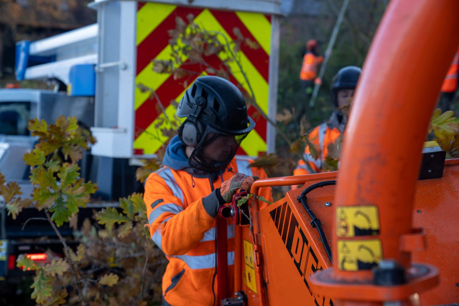 Experts in vegetation management - Wilson Tree Surgery