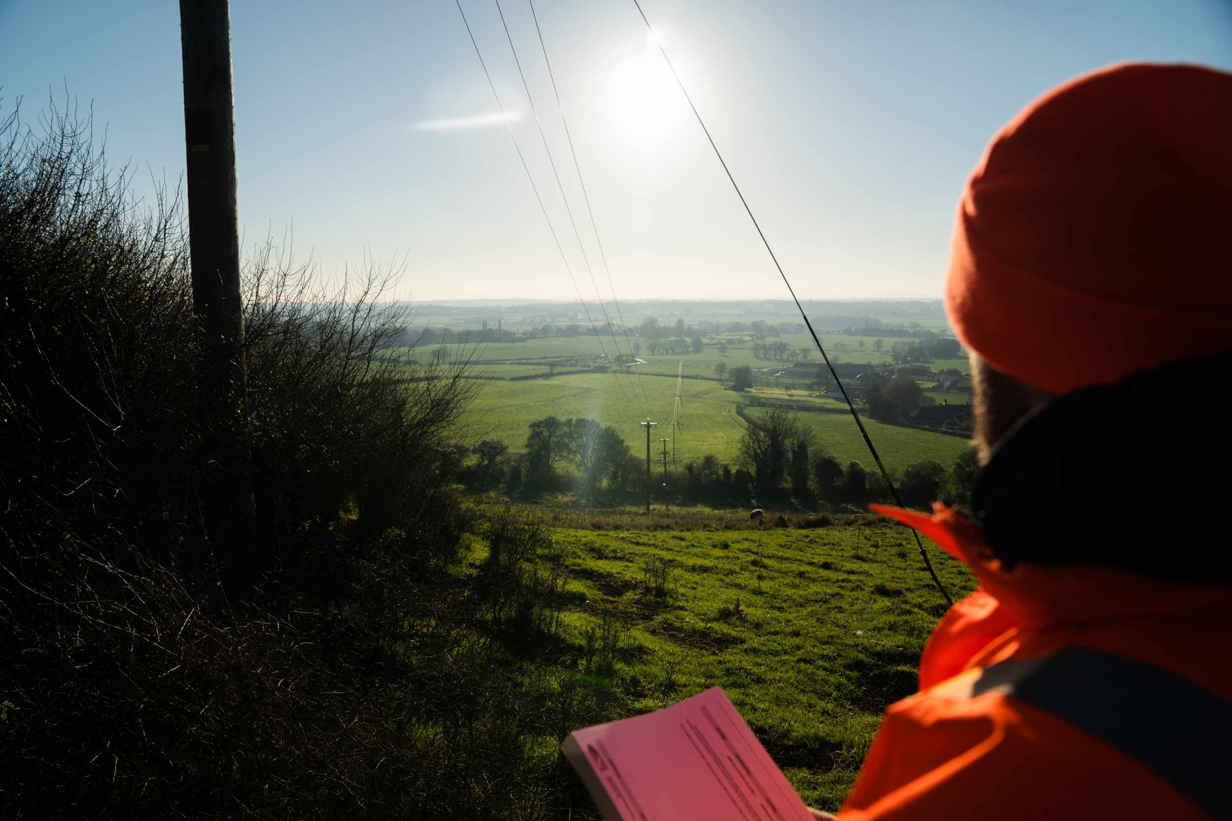 Experts in vegetation management - Wilson Tree Surgery