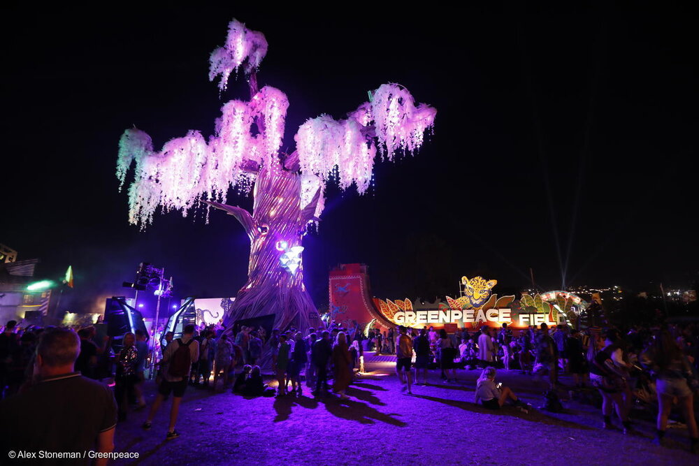 Tree Tales: The Glastonbury Festival Rave Tree - Wilson Tree Surgery