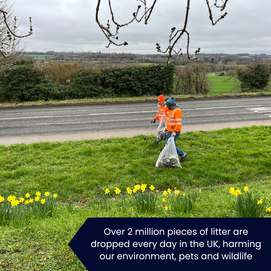 Wilson's Litter Picking - Wilson Tree Surgery