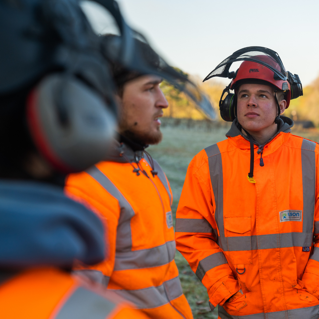Tree Tales: The Glastonbury Festival Rave Tree - Wilson Tree Surgery