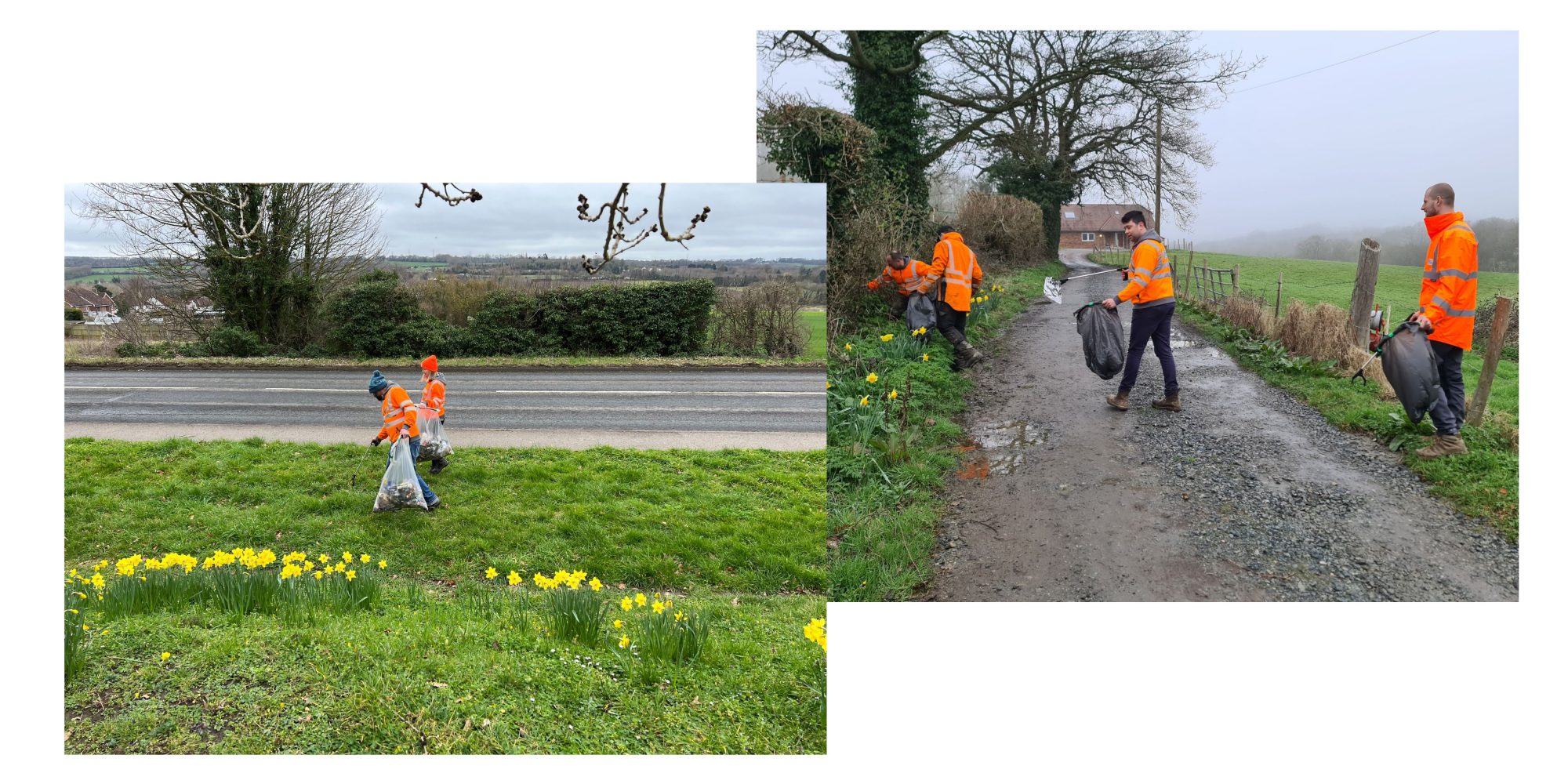 Sustainability - Wilson Tree Surgery