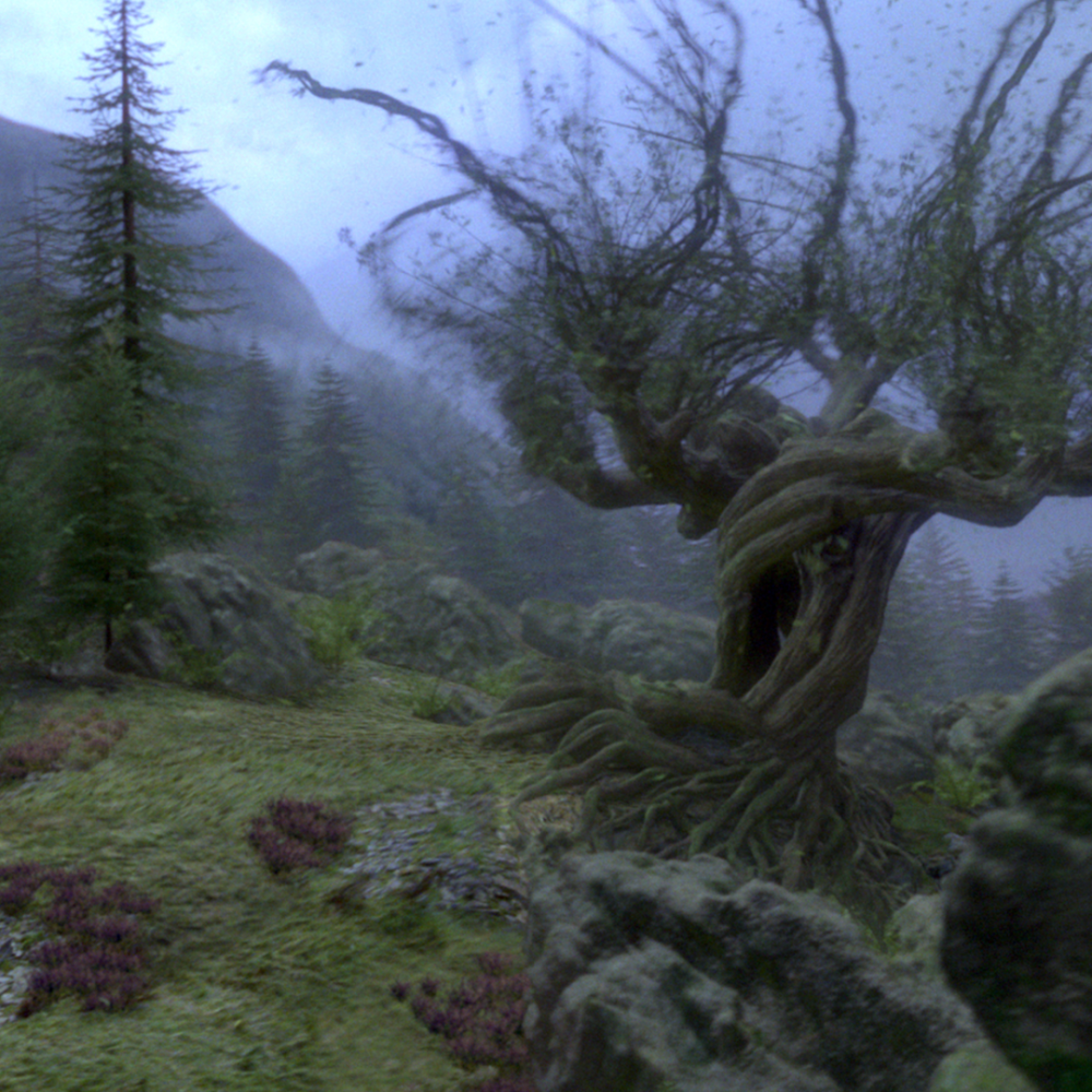 TreeTales : Films that feature famous trees - Wilson Tree Surgery