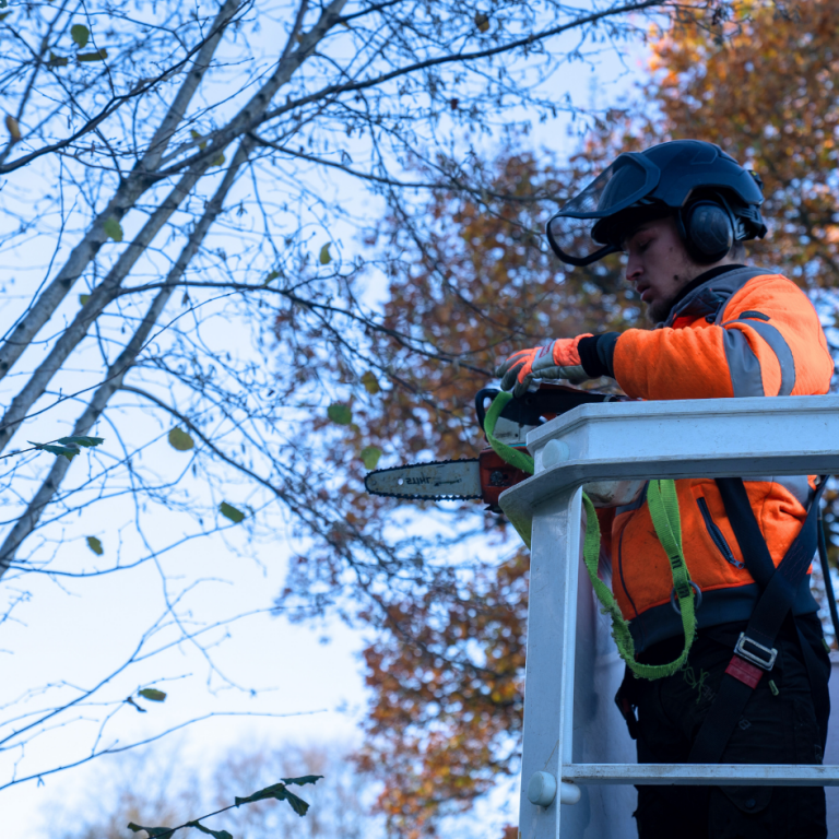 Technology & Tree Surgery - Wilson Tree Surgery