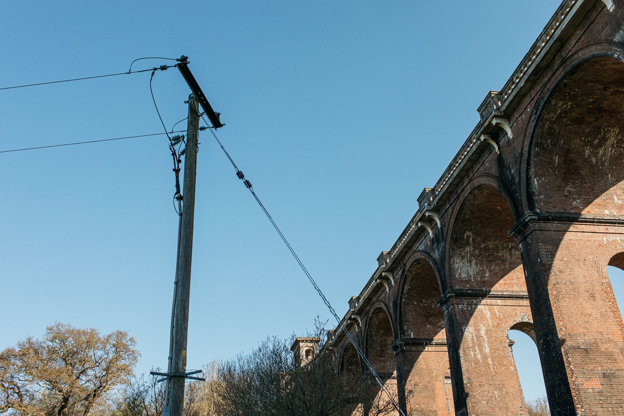 The Challenges and Rewards of Utility Arboriculture - Wilson Tree Surgery