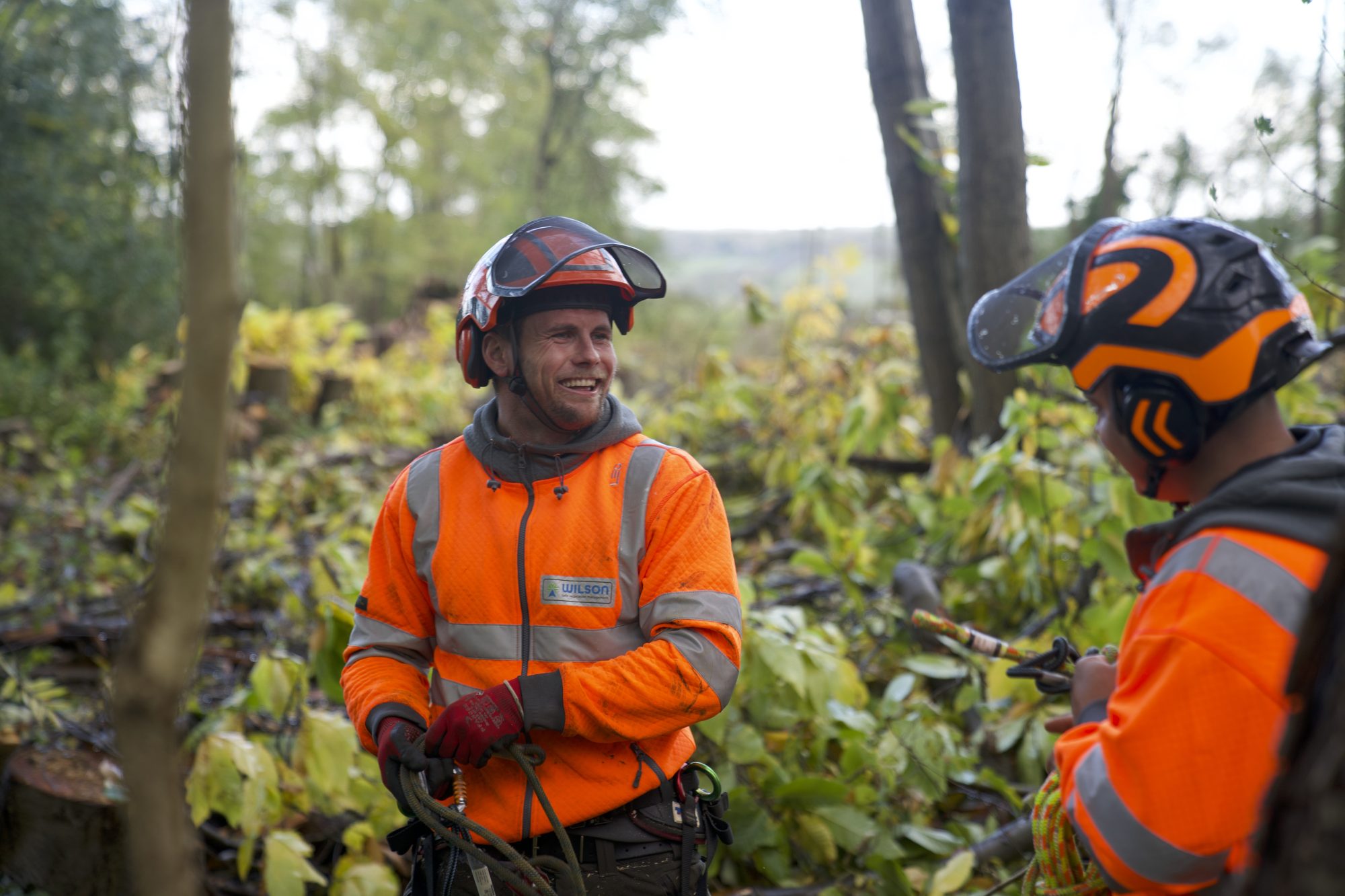 A Tree Surgeon's Guide to Environmental Responsibility - Wilson Tree ...