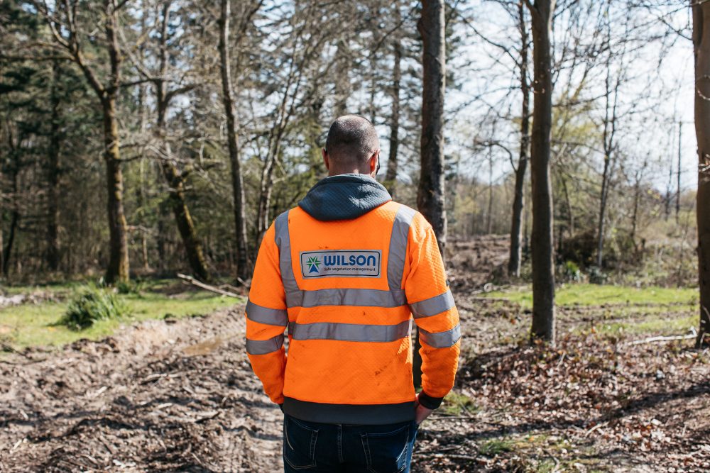 The History of Tree Surgery - Wilson Tree Surgery