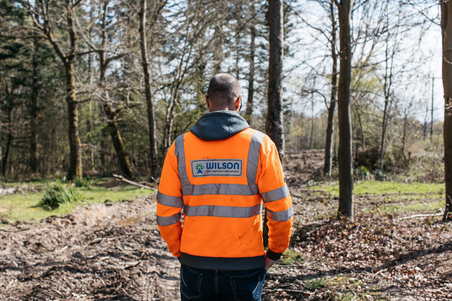 The Life Cycle of a Tree - Wilson Tree Surgery