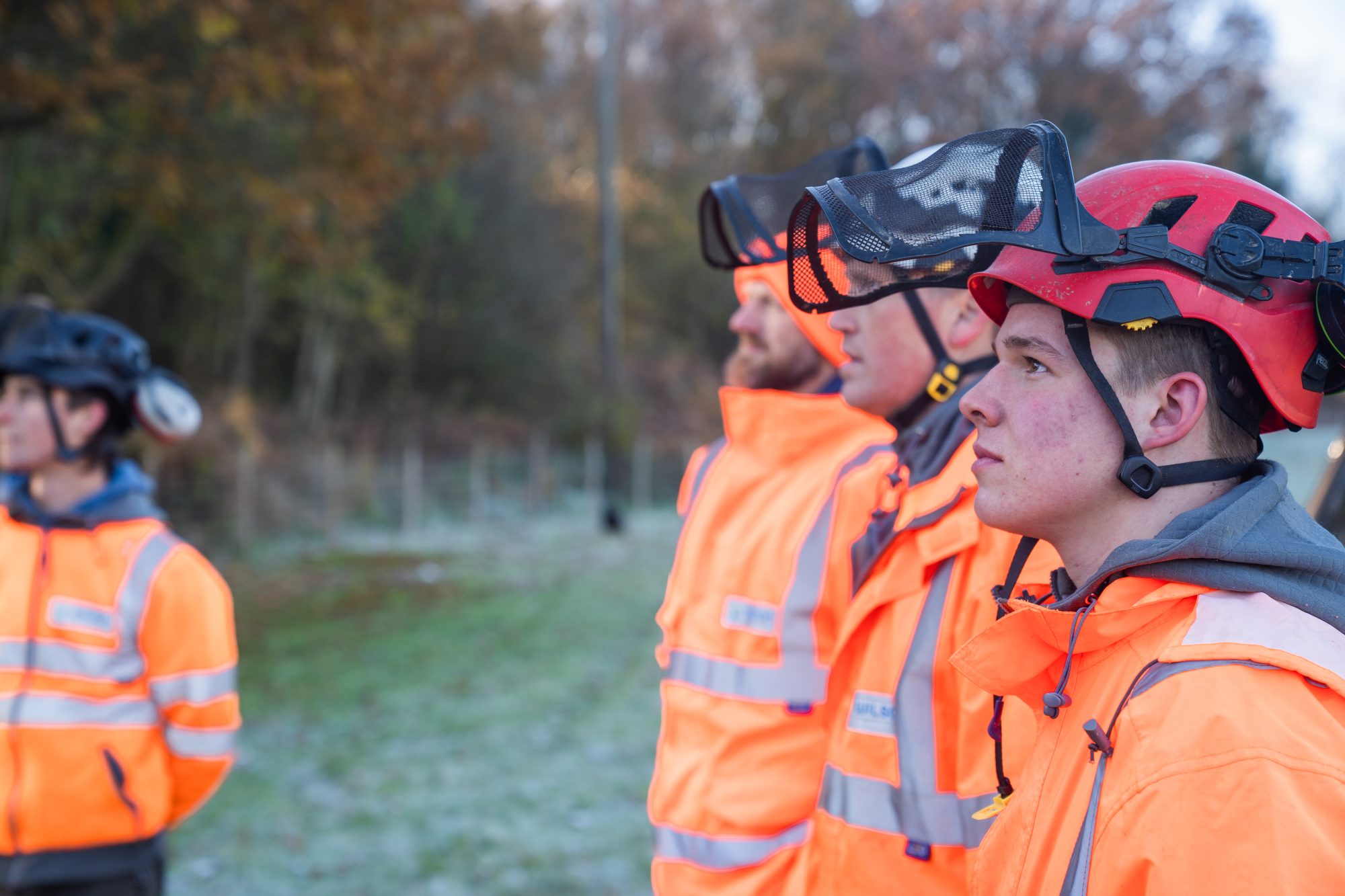 Why should you consider a career in tree surgery? - Wilson Tree Surgery