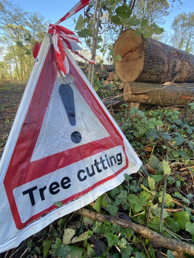 What Are Drop Zones and Work Zones? - Wilson Tree Surgery