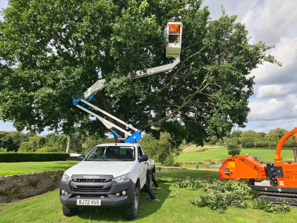 What Are Drop Zones and Work Zones? - Wilson Tree Surgery